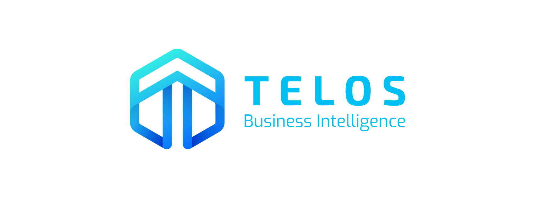 Telos – Meaningful Business Intelligence